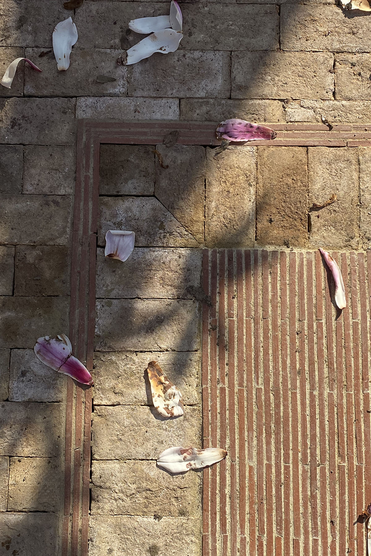 Case Study - a garden paving with clay creasing tiles