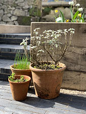 New slim format Tenger pavers from Ketley Brick